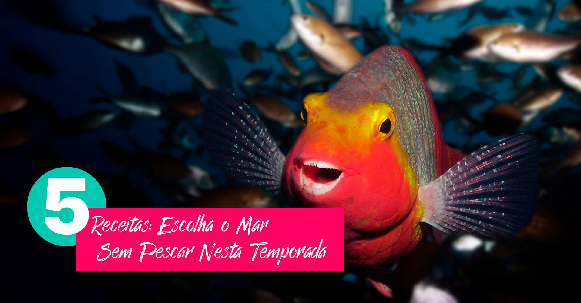 Cinco receitas: escolha o mar sem pescar